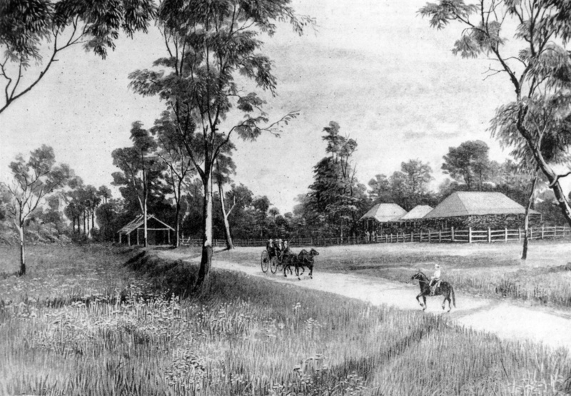 BP.829 Mitchell Downs Station Homestead, Mitchell Qld.; ca 1897; BP.829 ...