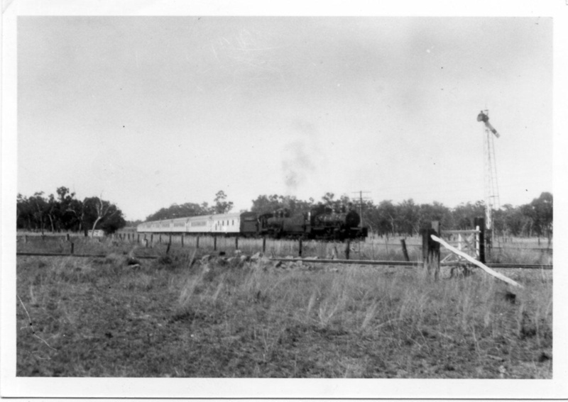 BP.171 Westlander - Qld. Passenger Train ; 21/8/1954; BP.171 | eHive