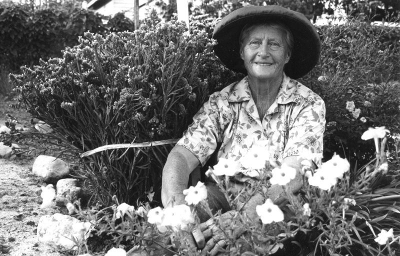BP.1233 Mansfield; Mrs. Aileen, Mitchell; 2000; BP.1233 | eHive