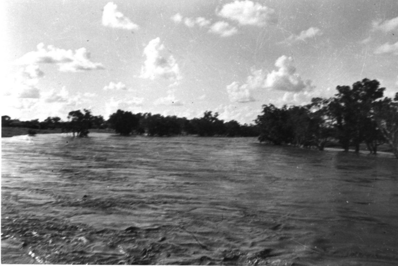 BP.1182 Maranoa River in flood - Upstream from Rail Bridge; 1956; BP ...