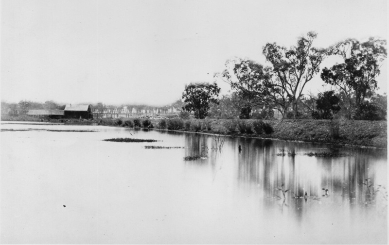 BP.246 Amby Downs Washpool, Amby, Qld; 1890-1910; BP.246 | eHive
