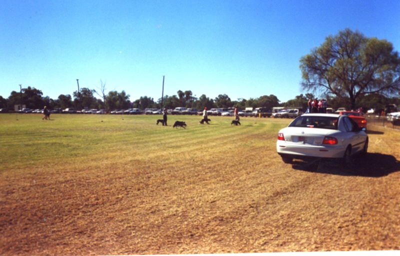 BP.1656 Mitchell Show, Mitchell Qld - Grand Parade; 5/2002; BP.1656 | eHive