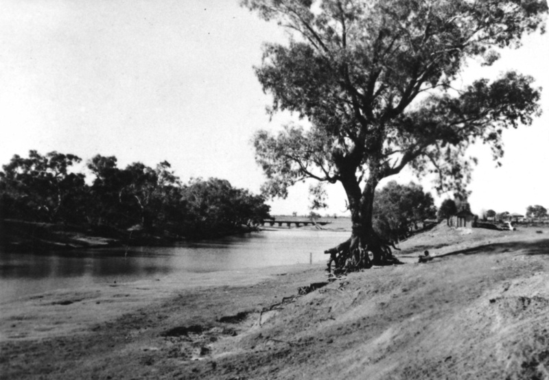 BP.197 Maranoa River, Mitchell, Qld.; 1950 - 1960; BP.197 | eHive