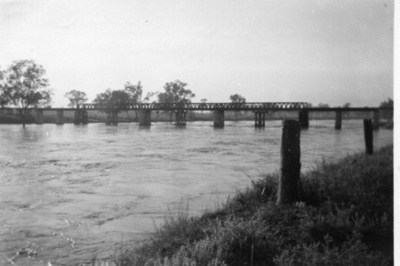BP.1331 Mitchell Rail Bridge over Maranoa River; 1956; BP.1331 | eHive