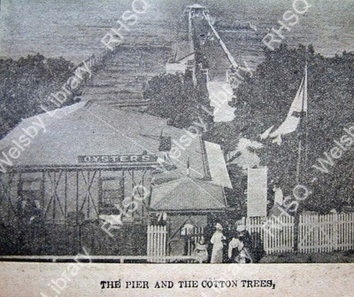 Sandgate Pier and cotton trees; The Week; 1906; P50556 | eHive