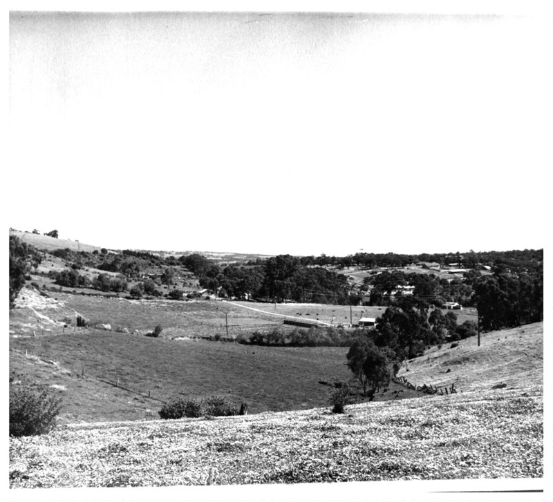 Hawthorndene East; 1977; P01255WI | eHive