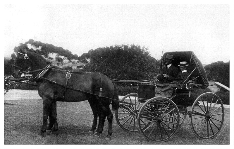 Concord Buggy, Bedford Park, (formerly Burbank); 22.12.1913; P00067 | eHive