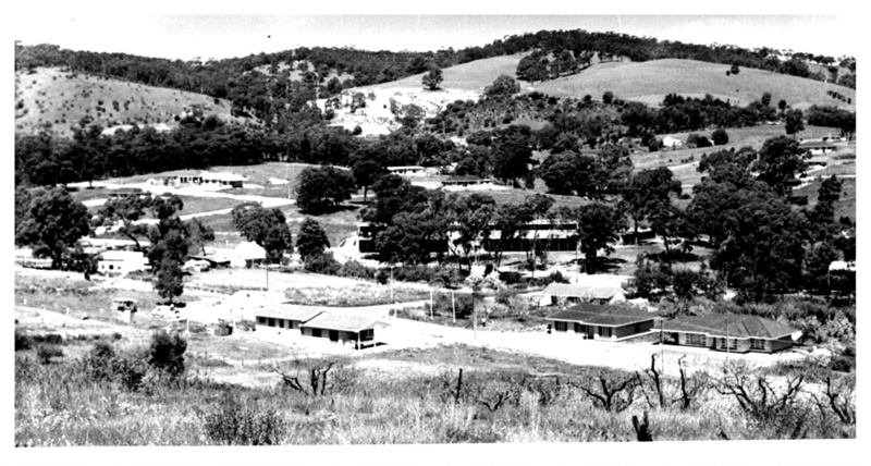View across Hawthorndene; 1967; P01193WI | eHive