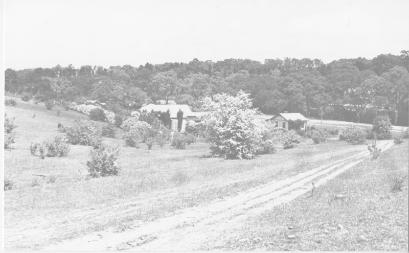 Hawthorndene view from east; 1950; P01519WI | eHive