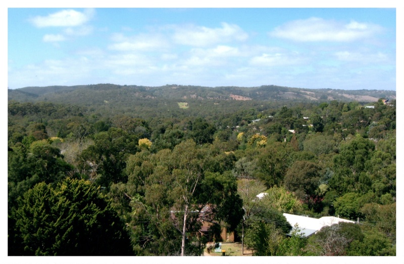 Monalta' taken from near Pinera station, Belair.; 2007 ca; P00341 | eHive