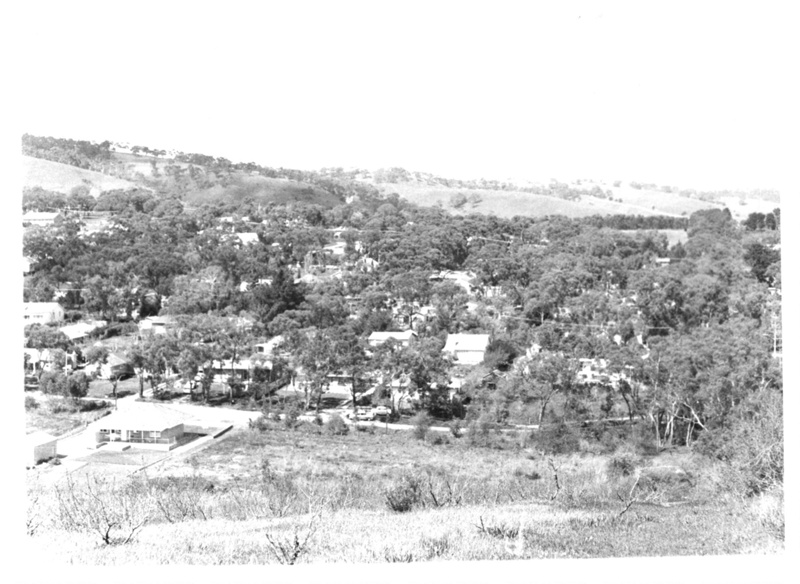 Hawthorndene view; 1965; P01259WI | eHive