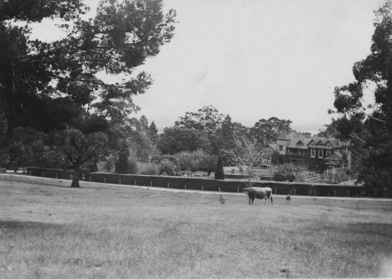 Springfield House, Springfield; 1936 ca; P02223 | eHive