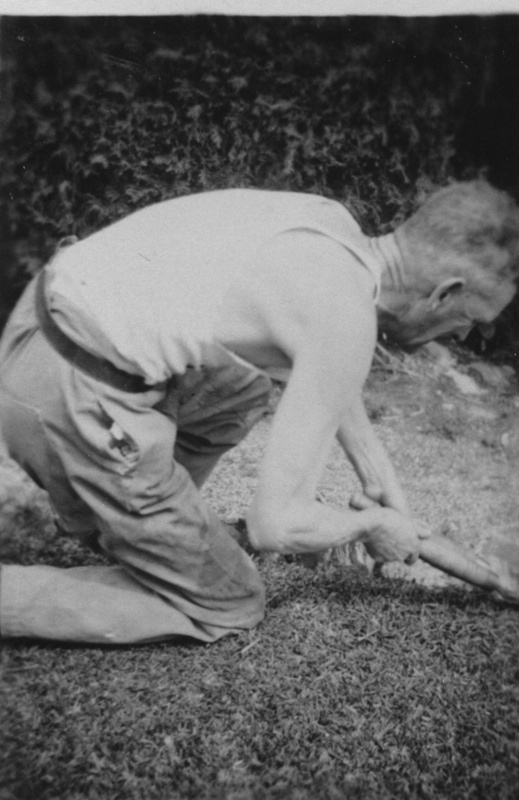 Max Reynolds, Colonel Light Gardens; 1948; P03064 | eHive