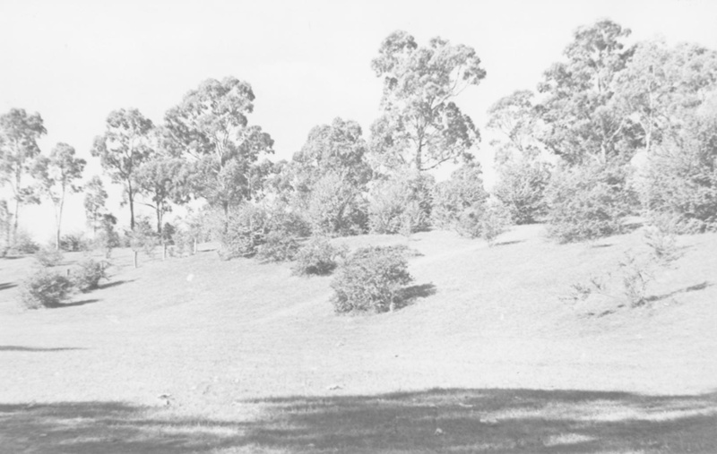 Site of future Watahuna Avenue Hawthorndene; 1938; P01544WI | eHive
