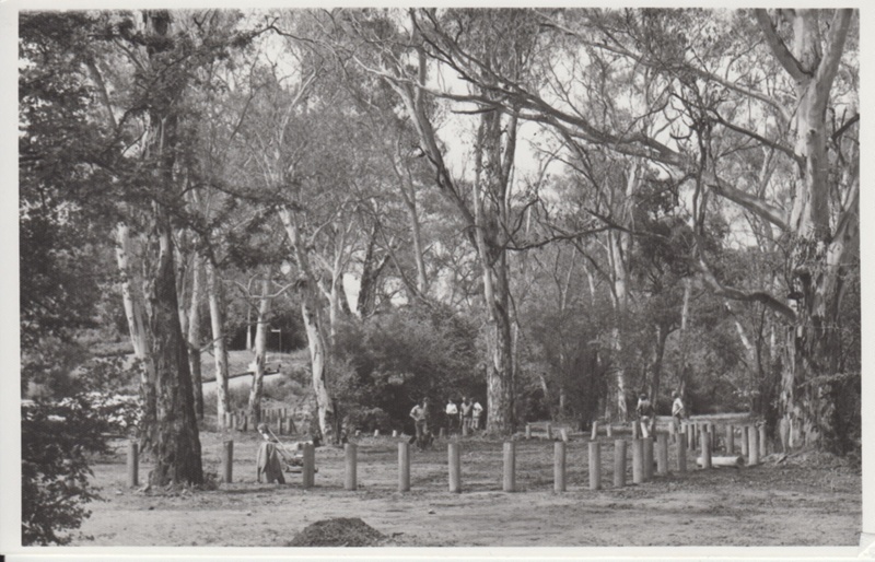 Hawthorndene Reserve; 1975; P01585WI | eHive