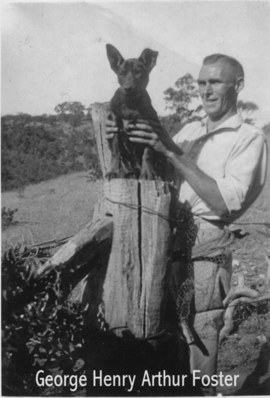Arthur Foster and dog, Brownhill Creek; Unknown; P02625 | eHive