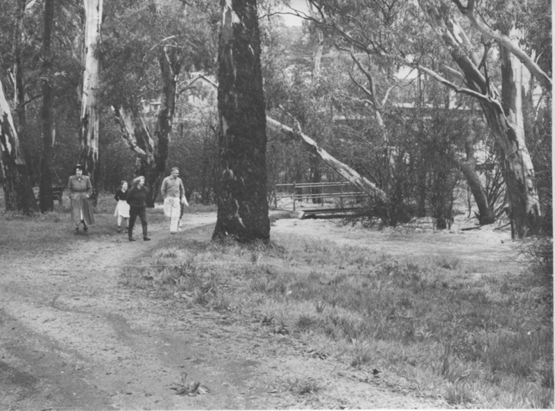 Flooded creek, Hawthorndene; 1963; P03182WI | eHive