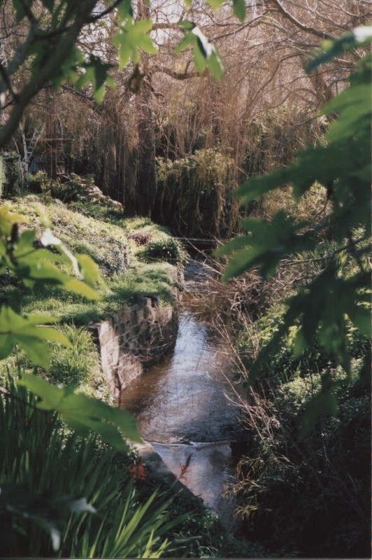 Brownhill Creek, Torrens Park; 10/08/2010; P02362 | eHive