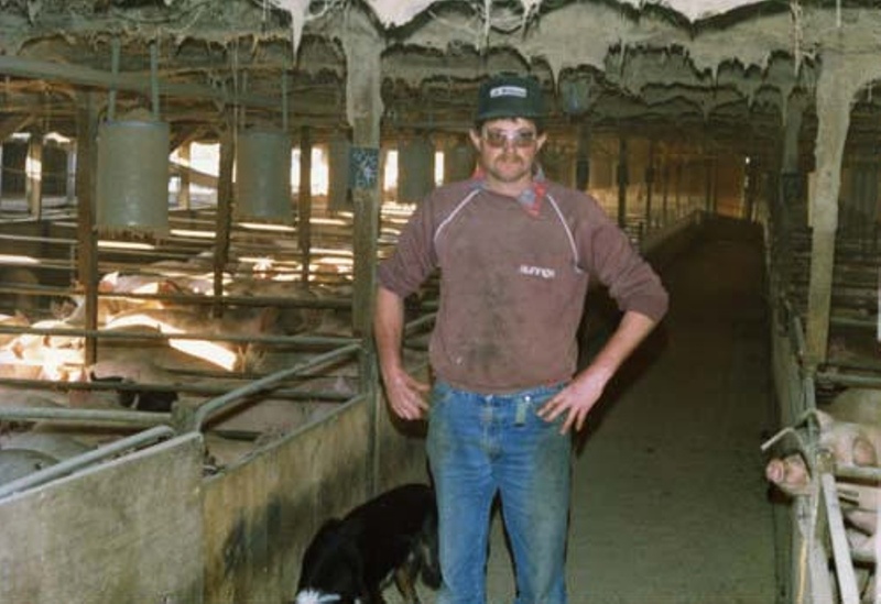 Ray Seebeck Pig Farm, Dunsandel in 1990, ex Gordon Happer; DHS-1603 | eHive