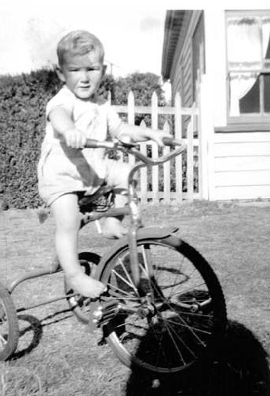 Donald Johnston, Selwyn, ex Helen Johnston; DHS-1337 | eHive