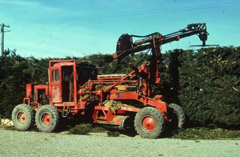 Noel Edge’s tree topper trimmer, built on a Gallion grader. First tree ...