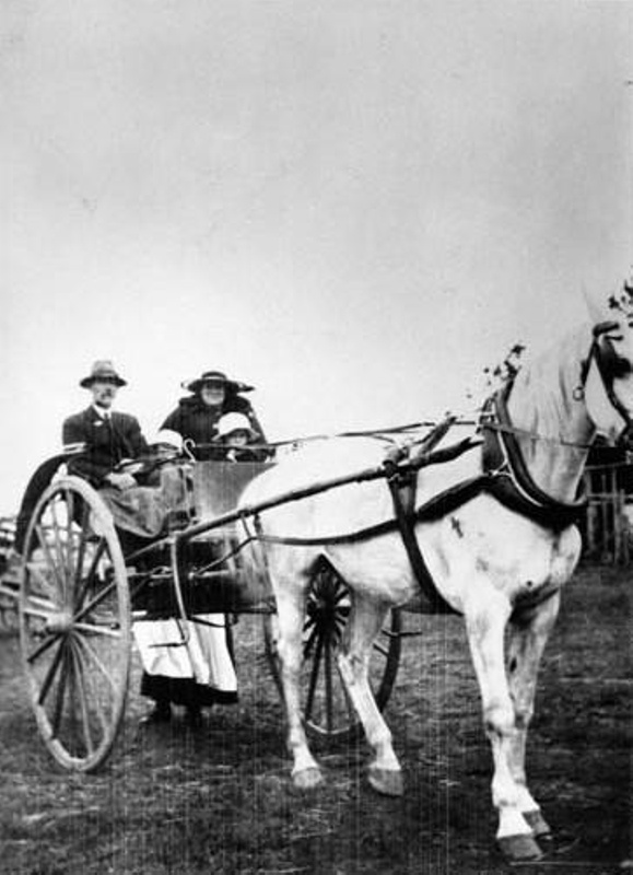 T23 ca 1920 Horse & gig, NgNo 269-868 F Claydon & family; DHS-0742 | eHive