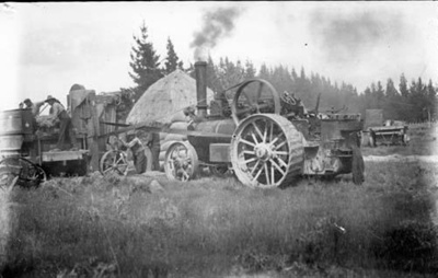 F48 Cutting chaff ex Mrs Doreen Watson Early 1900s; DHS-0217 | eHive