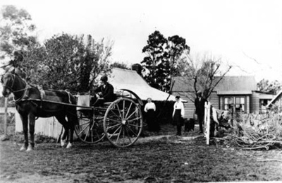 T22 Horse & gig Wraight family outside Mystole W J Wraight in gig, Mrs ...