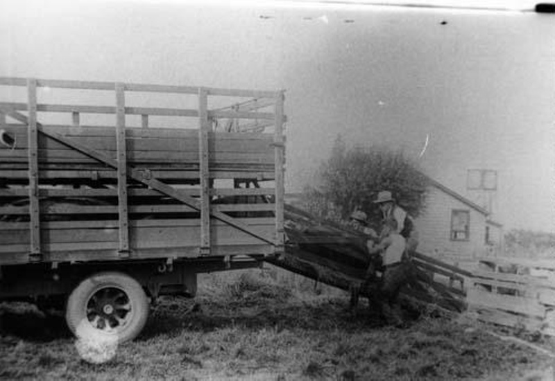 T3 Coles Brothers loading pigs; DHS-0724 | eHive