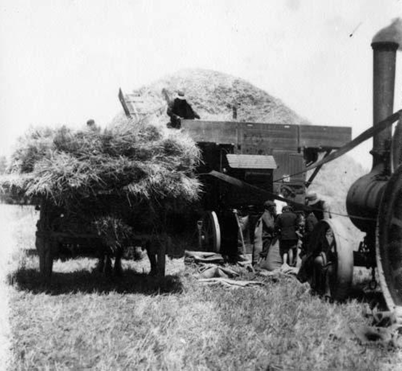 F46 Threshing mill on Willow Farm; DHS-0215 | eHive