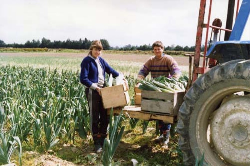 Steve Holyoake & Lynette Wogan, Vegetable production, Dunsandel in 1990 ...
