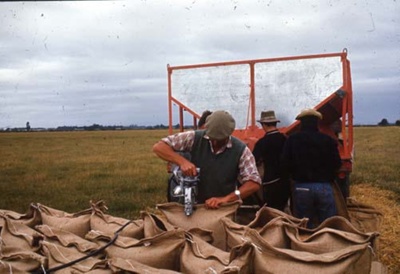 John Allan sewing sacks of grain. Bulk trucks often had bagging off ...