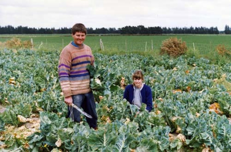Steve Holyoake & Lynette Wogan, Vegetable production, Dunsandel in 1990 ...