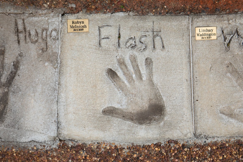 ROBYN McINTOSH; ROBYN McINTOSH; HOF_2019_MCINTOSH | eHive