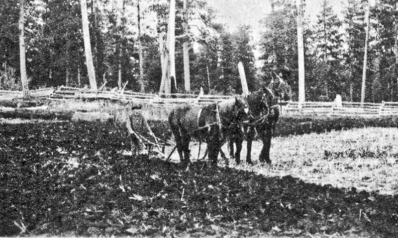 Farming, Plowing; early 1900s | eHive
