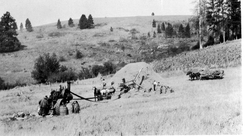 Threshing Outfit; 1920s | eHive