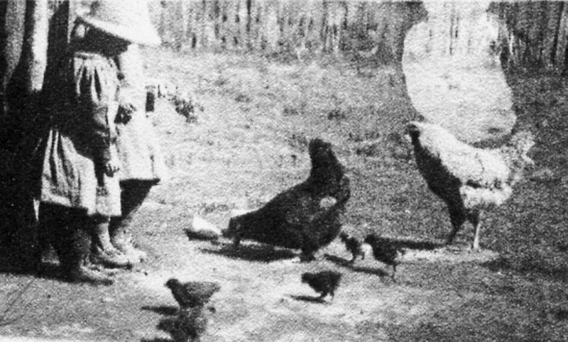 Eddleman; early 1900s | eHive