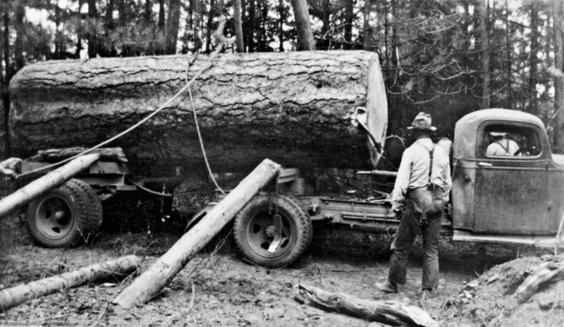 Early Promise Logger With One Log Load; 1930s | eHive