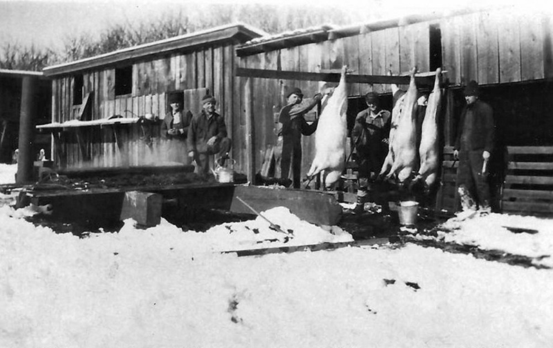 Hog Butchering; 1926 | eHive