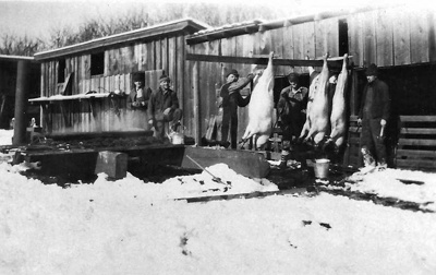 Hog Butchering; 1926 | eHive