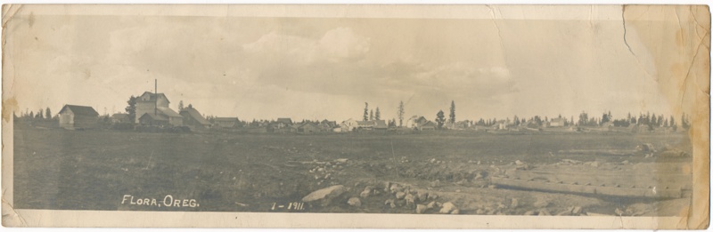 Flora, Oregon; Unknown Photographer; September 1911 | eHive