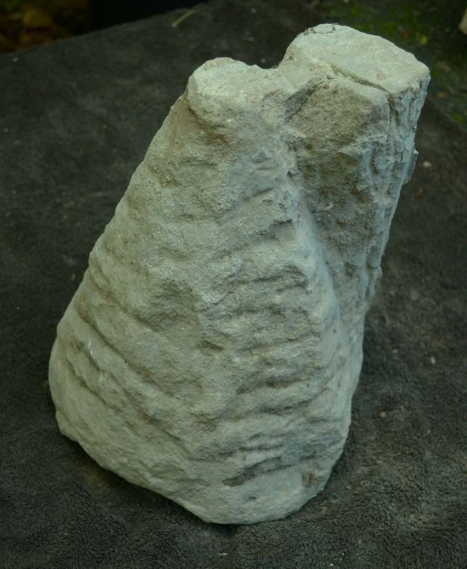 Canopy; Late 13th or early 14th C; LCA 0857 | eHive