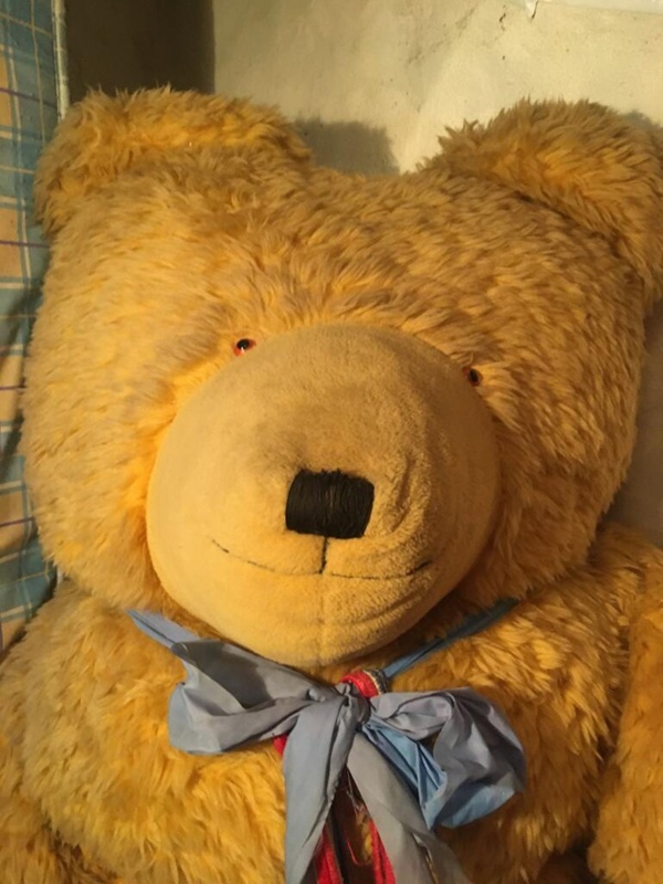 Great Pooh; Wendy Boston; Early 1960s; 0001 | eHive