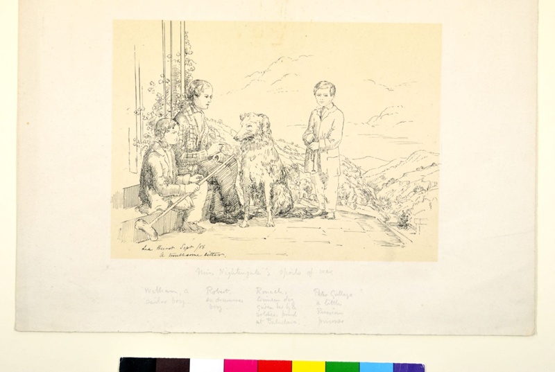 Miss Nightingale's Spoils of War; Lady Frances Parthenope Verney nee ...