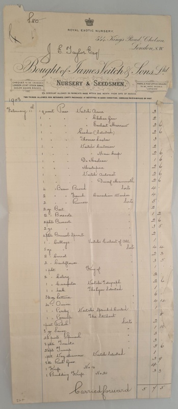 Bill from James Veitch & Sons Ltd; James Veitch & Sons Ltd; 11/02/1903 ...