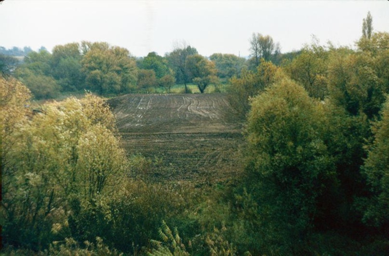 A field by Bury Road; 20th Century; SMKLHG299_0011 | eHive