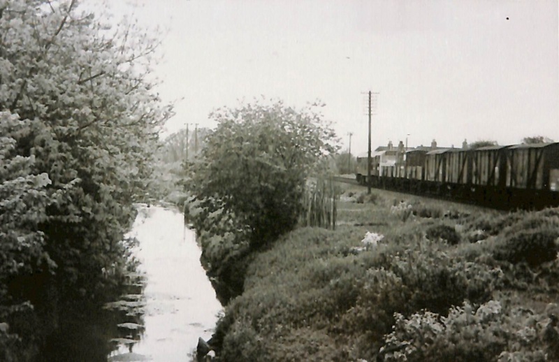 Train along the River Gipping; The Ivan Codd Collection; 20th Century ...