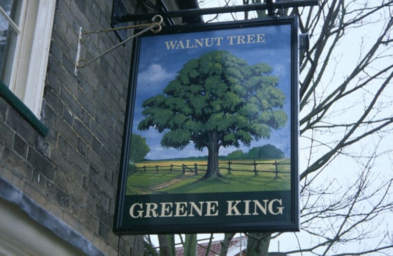 The Walnut Tree; unknown; SMKLHG211_0011 | eHive