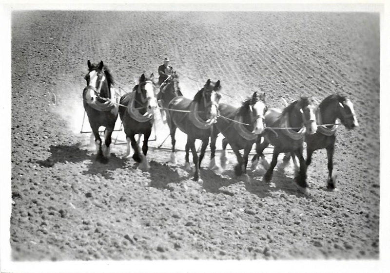 Eastern Bush, Ōrawia & Ōtautau District's - Moffat Farming History ...