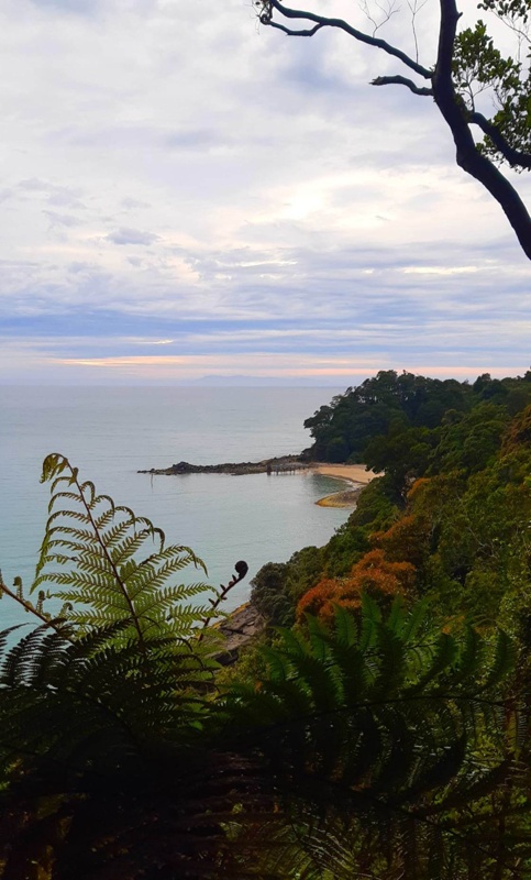 Port Craig Settlement: An Archaeological Survey of Port Craig, 1996 ...